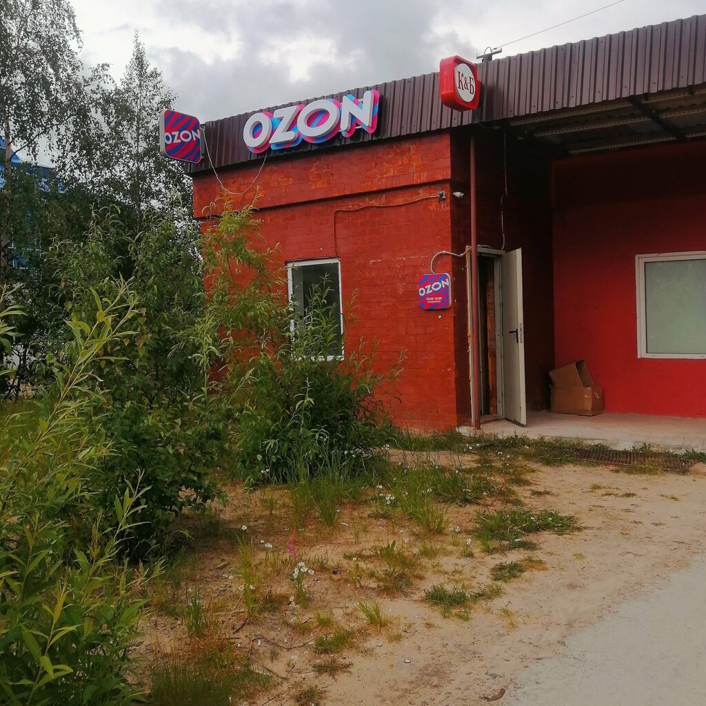 Teslimat noktası Ozon, Yamal‑Nenets Özerk Bölgesi, foto