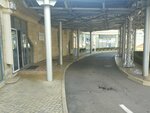 Famizoo (strada Nicolae Dimo No:21/1), petshop  Kişinev'den