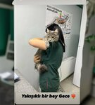Kütahya Veteriner Kliniği (Kütahya, Kütahya Merkez , Mithatpaşa Cad., 7), veteriner klinikleri  Kütahya'dan