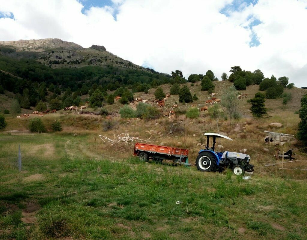 Restoran Nuhoğulları Alabalık Tesisi, Şiran, foto