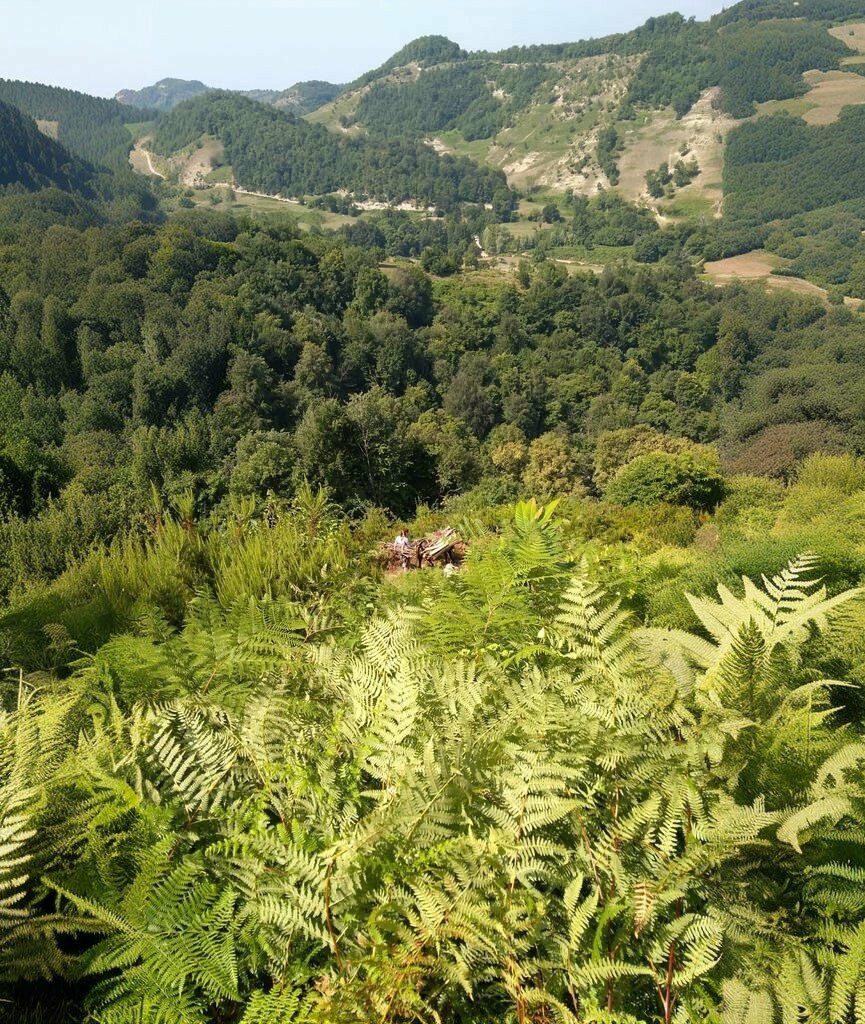 Muhtarlıklar Hacıosmanlar Köy Muhtarlığı, Çaycuma, foto