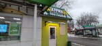 Шаурма у МХО (Schyolkovo, ulitsa Pushkina, 1/16), fast food  Şçolkovo'dan