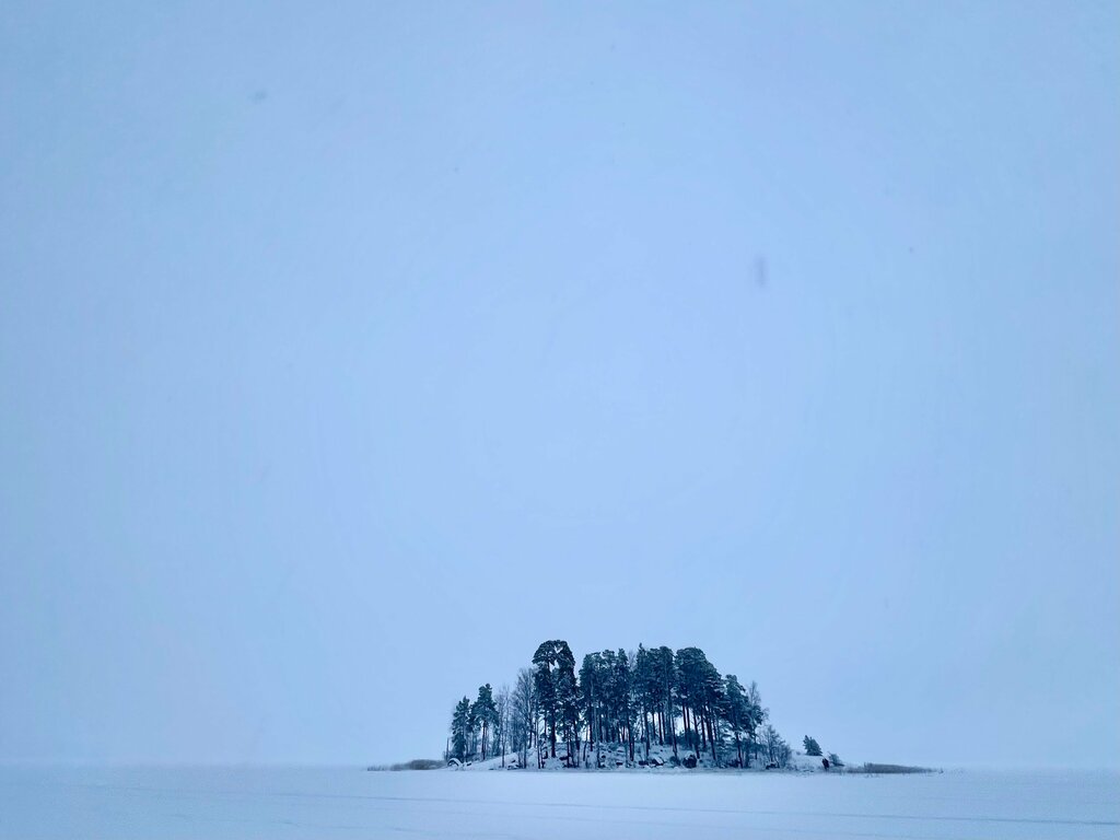 Doğa Vellinginsaari, Vyborg, foto