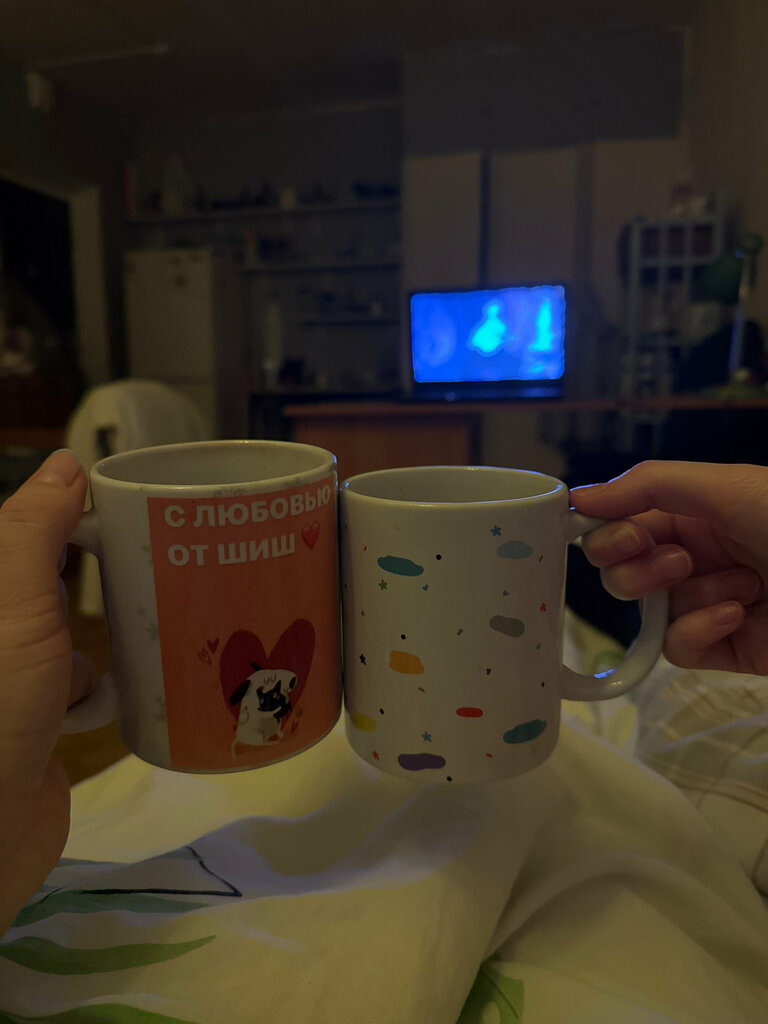 Yurtlar Gusevsky Agropromyshlenny kolledzh, obshchezhitiye № 1, Gusev, foto