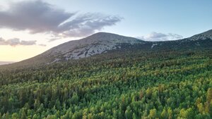 Mount Yamantau (Republic of Bashkortostan, Beloretskiy rayon, Yuzhno-Uralskiy gosudarstvenny prirodny zapovednik), dağ zirvesi  Başkurdistan'dan