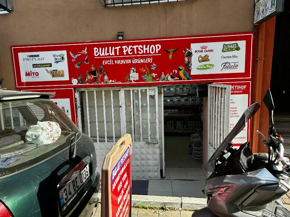 Petshop Bulut Petshop, İstanbul, foto