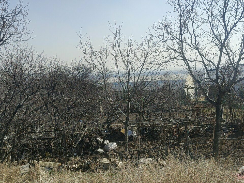 Peyzaj tasarımı Botanik Meram Çiçekçilik, Konya, foto