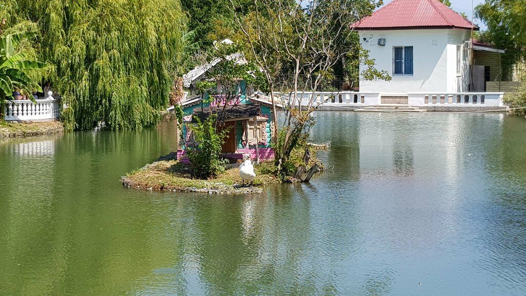Doğa Платан-долгожитель, Krasnodarski krayı, foto