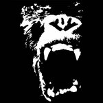 Gorillateam (Petra Lomako Street No:10), spor giyim ve ayakkabı  Krasnoyarsk'tan