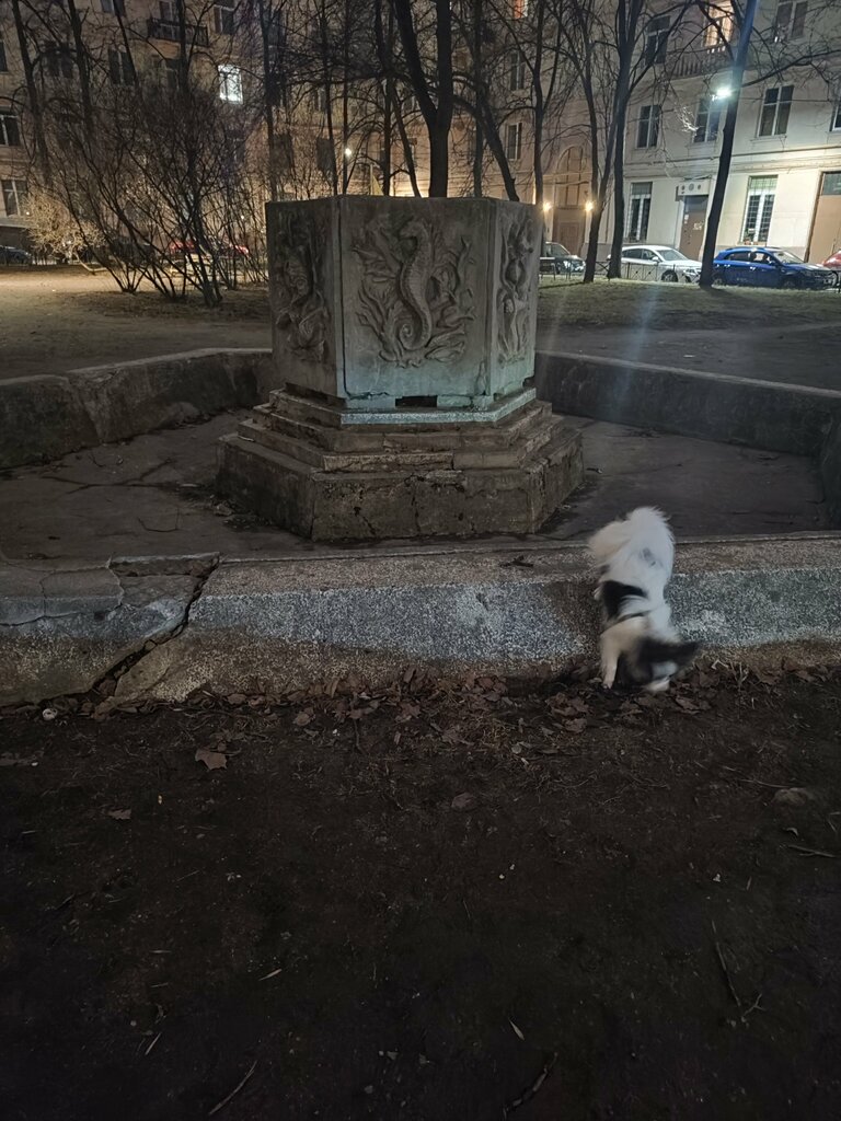 Turistik yerler Фонтан, Saint‑Petersburg, foto