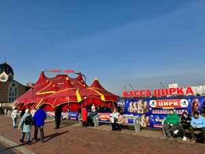 Виват (Kaliningrad, Moskovskiy District, istoricheskiy rayon Lomze), sirkler  Kaliningrad'dan