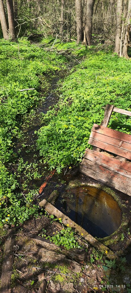 Pınar, çay Черница, Mogiliovskaya oblastı, foto