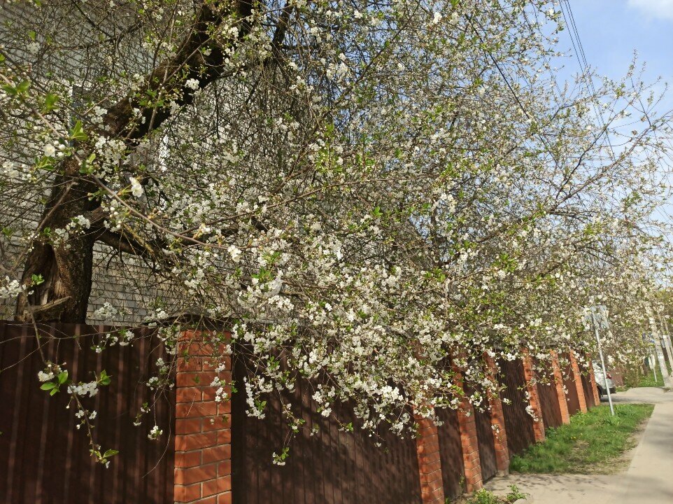 Otel Уютный дом на улице Зои Космодемьянской 44, Smolensk, foto