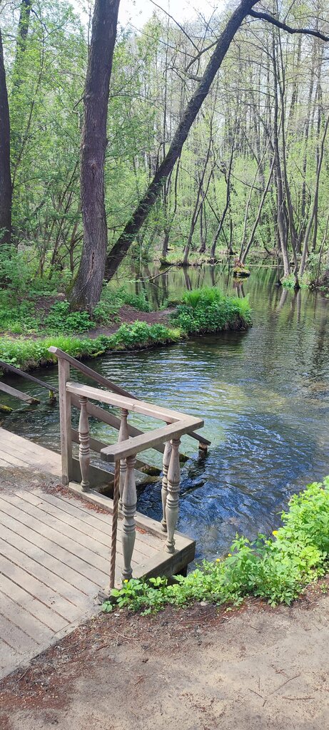 Pınar, çay Родник Отрог, Rostovskaya oblastı, foto