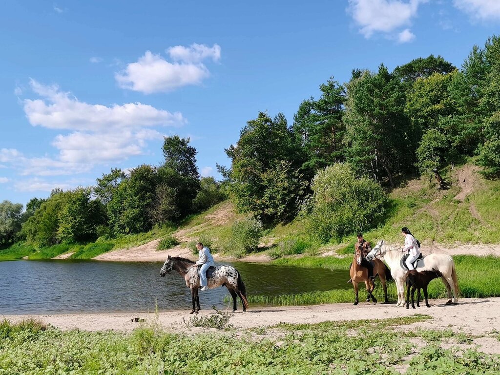 At ve binicilik kulüpleri Конные прогулки в Лужках, Moskova ve Moskovskaya oblastı, foto