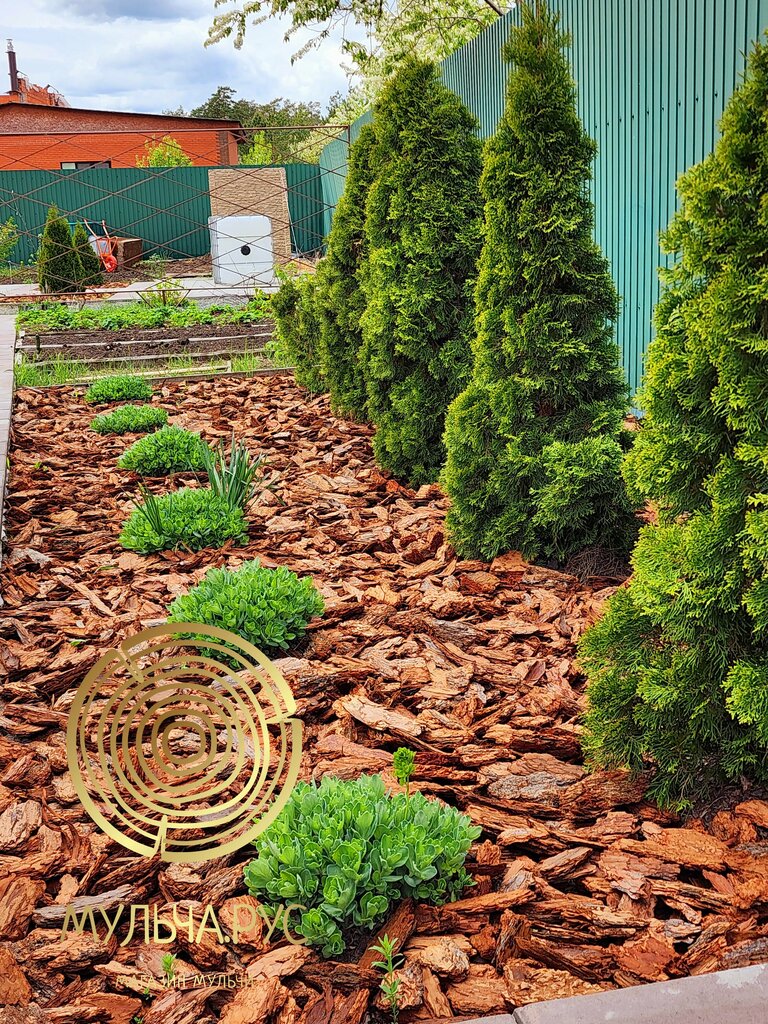 Toptancılar Mulcha. Rus, Nijegorodskaya oblastı, foto