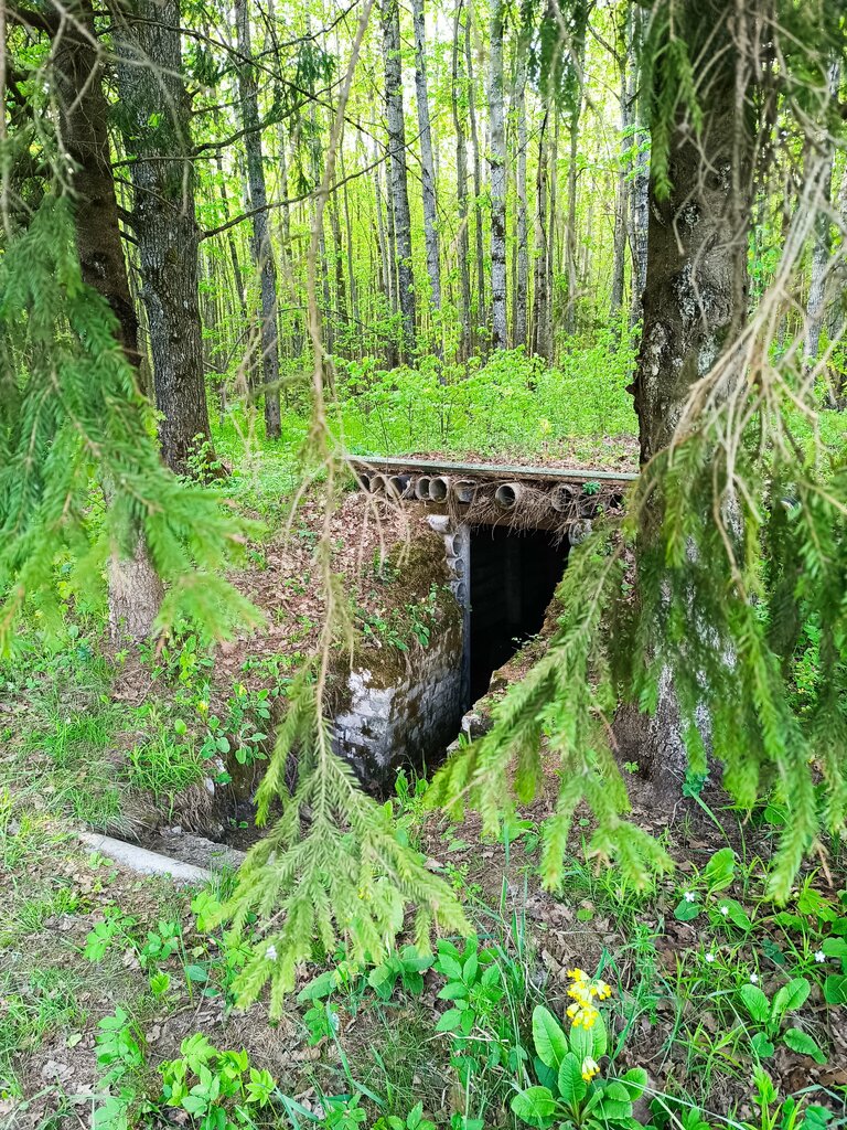 Giriş işareti Партизанская поляна, Brianskaya oblastı, foto