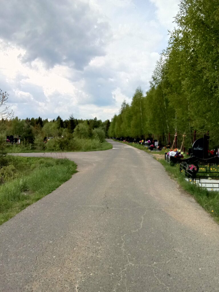 Mezarlıklar Западное кладбище, Yaroslavskaya oblastı, foto