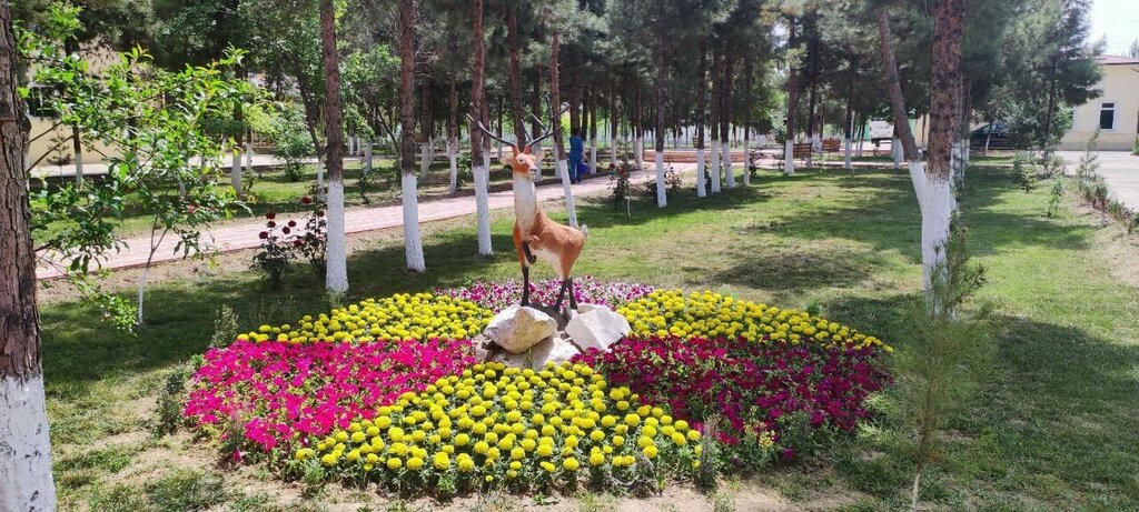Termal otel Karshi Sanatorium, Karşı, foto