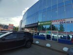 Anasteisha (Vsevolozhskiy prospekt No:61), manikür-pedikür  Vsevolgsk'tan