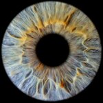 Twoeye (gorodskoy okrug Voronezh, Zheleznodorozhniy District, OOPT mestnogo znacheniya sadovo-parkovy landshaft Delfin), profesyonel fotoğraf stüdyosu  Voronej'den