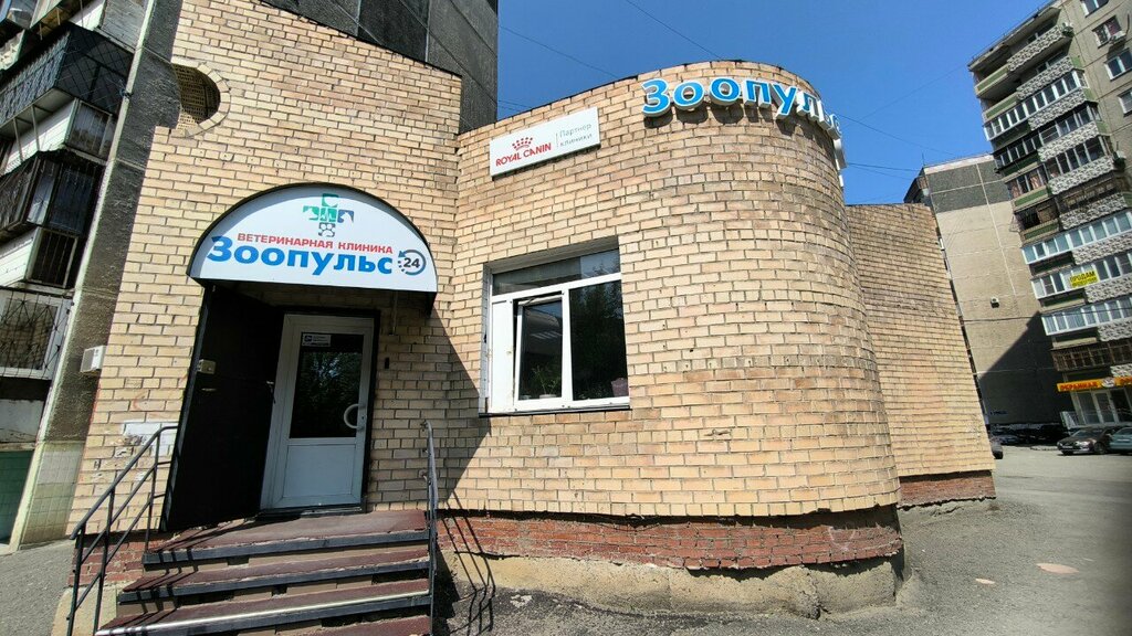 Veteriner klinikleri Зоопульс, Çeliabinsk, foto