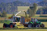 Mutlu Agro (Tokat, Tokat Merkez, Cemalettin Mah., Sulusokak Cad., 4A), tarım firmaları  Tokat'tan