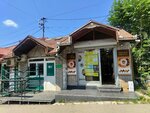 Bio Mint (Mije Kovacevica Street No:6U, Belgrade), market  Belgrad'dan