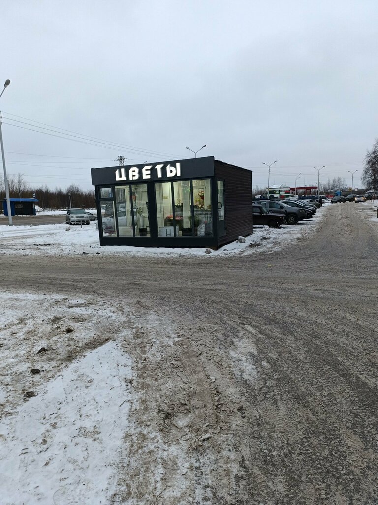 Çiçekçiler Bouton, Nijnevartovsk, foto