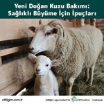 Çiftliğim AgroMarket Cihanbeyli (Konya, Cihanbeyli, Atçeken Mah., 60015. Sok., 1A), petshop  Cihanbeyli'den