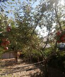 Sancaktepe Mahalle Muhtarlığı (Sancaktepe Mah. Gökçe Sok. No:13 Kocasinan Kayseri), muhtarlıklar  Kayseri'den