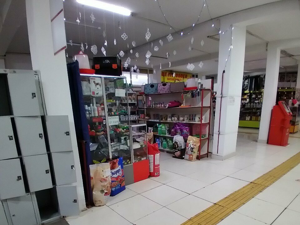 Petshop Pitomec, Taldıkorgan, foto