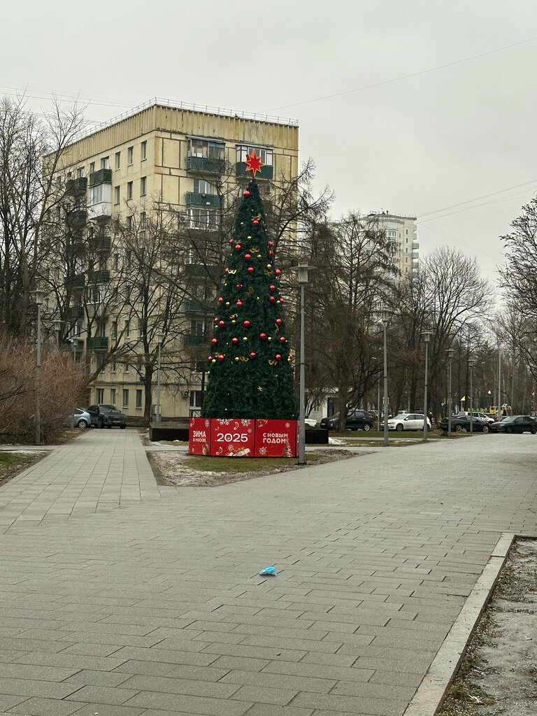 Şehrin yılbaşı ağacı Christmas tree, Moskova, foto