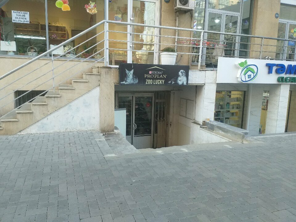 Petshop Pro Plan Zoo Lucky, Bakü, foto