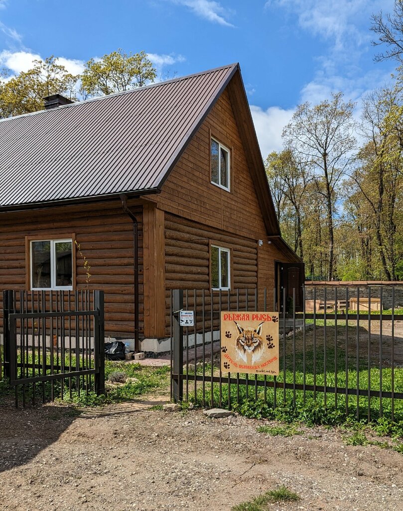 Etkinlik organizasyonu Artel Red Lynx, Pskov, foto