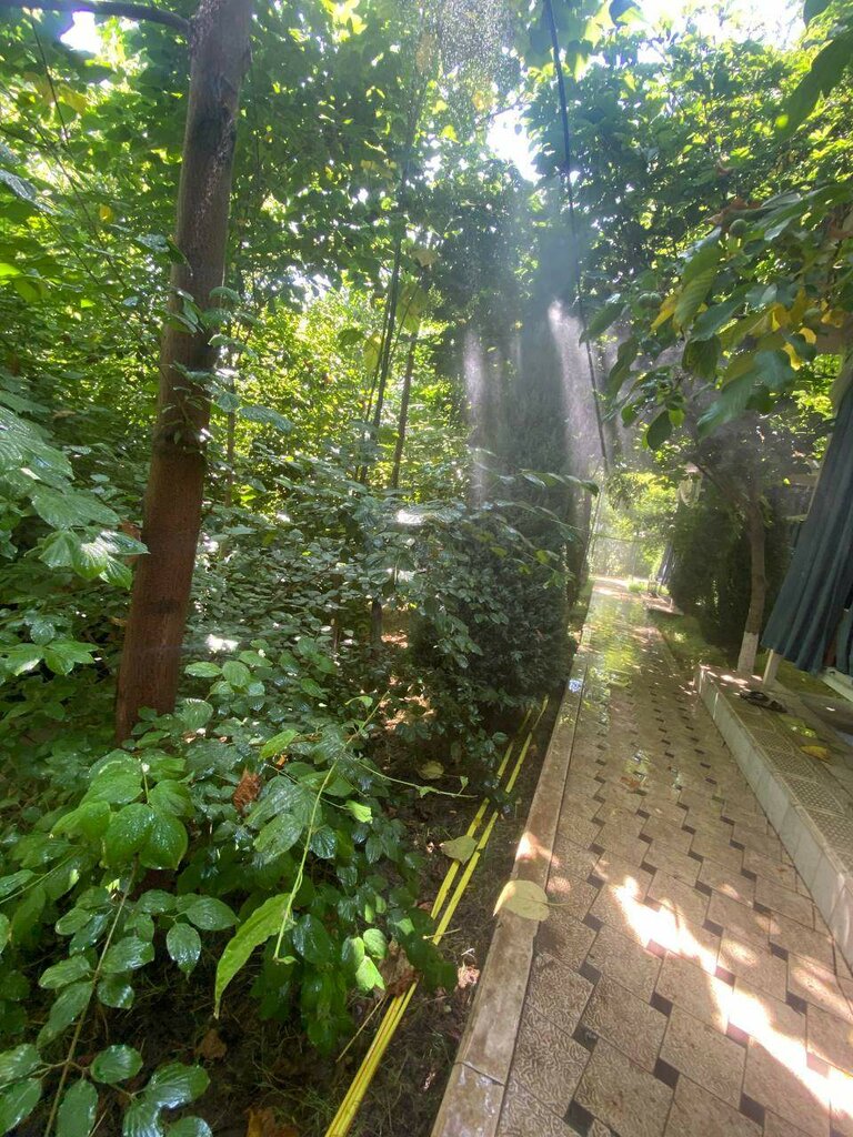 Restoran Davr Choykhona, Taşkent eyaleti, foto
