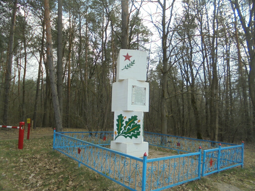 Anıt, heykel И.И. Орлов, Brestskaya oblastı, foto