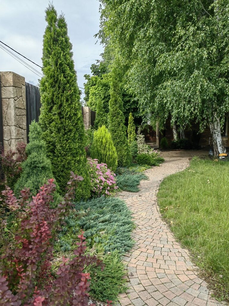 Peyzaj tasarımı Поливком, Armavir, foto