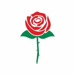 Well Flowers (Sharikopodshipnikovskaya Street No:18), çiçekçiler  Moskova'dan