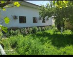 Кызыл-жар (Qyzyljar kóshesi No:10), otel  Şardara'dan