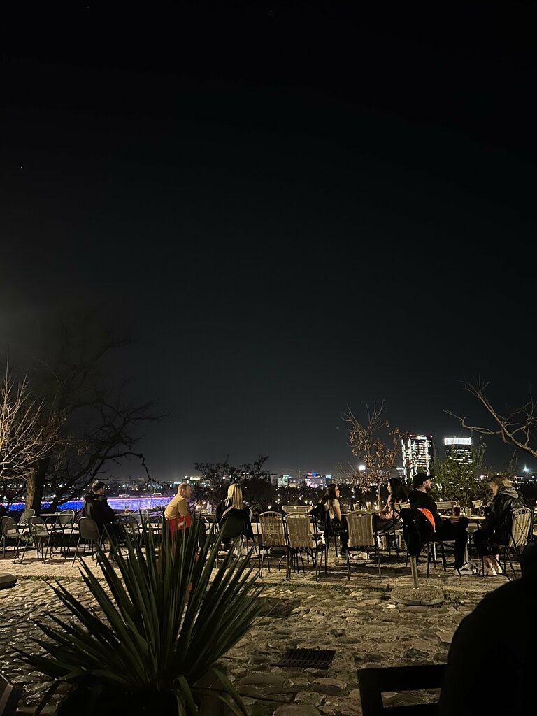 Restoran The Black Turtle Pub 2, Belgrad, foto