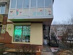 Карандаш (Posyetskaya Street No:13), sanat atölyeleri  Vladivostok'tan