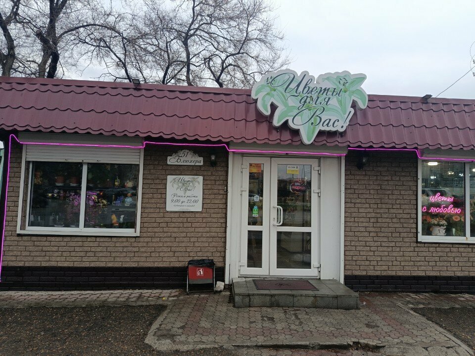 Çiçekçiler Дом цветов, Ussuriysk, foto