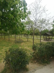 Piknik alanı Çağdaşkent Piknik Alanı, Çayırova, foto