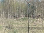 Общество Охотников и Рыболовов (Pesochnaya ulitsa No:18А), avcılar ve balıkçılar  Kashin'den