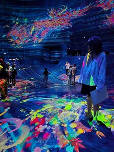 TeamLab Phenomena (St Regis Residences, SDN1, Saadiyat Island, Abu Dhabi), müzeler ve sanat galerileri  Abu Dabi'den