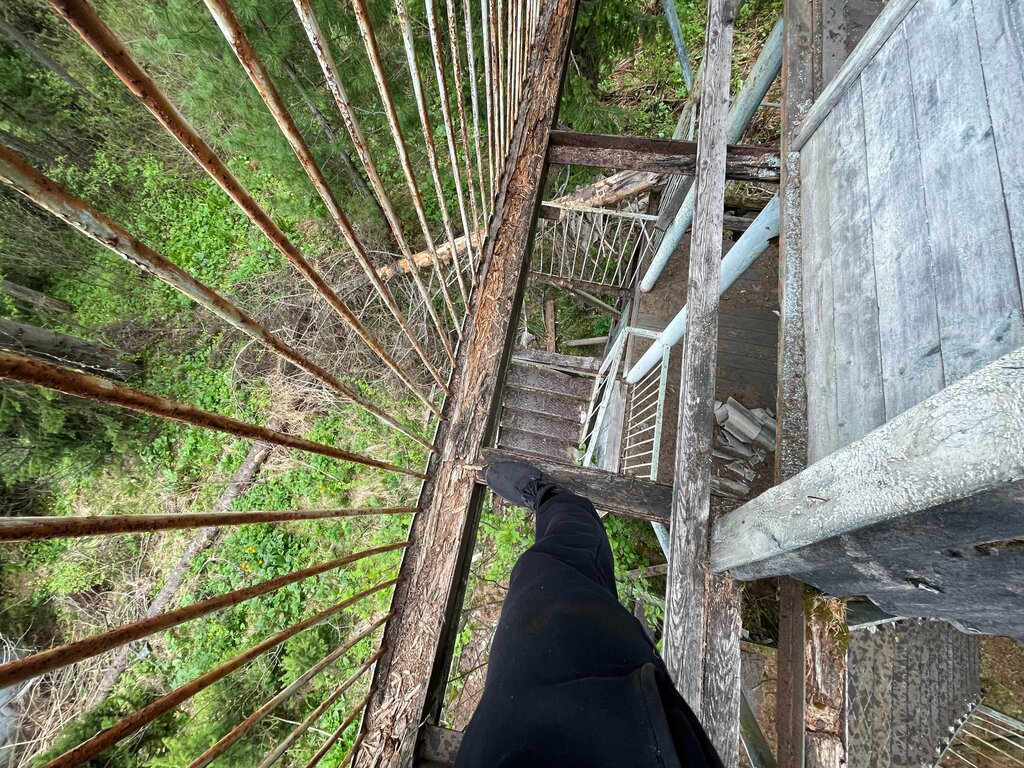 Tren istasyonu остановочный пункт Геологическая, , foto