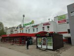 Бровист (ulitsa Marshala Rybalko No:99Б), kaş ve kirpik salonu  Perm'den