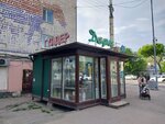 Dari (Kenesary kóshesi No:82), çiçekçiler  Astana'dan