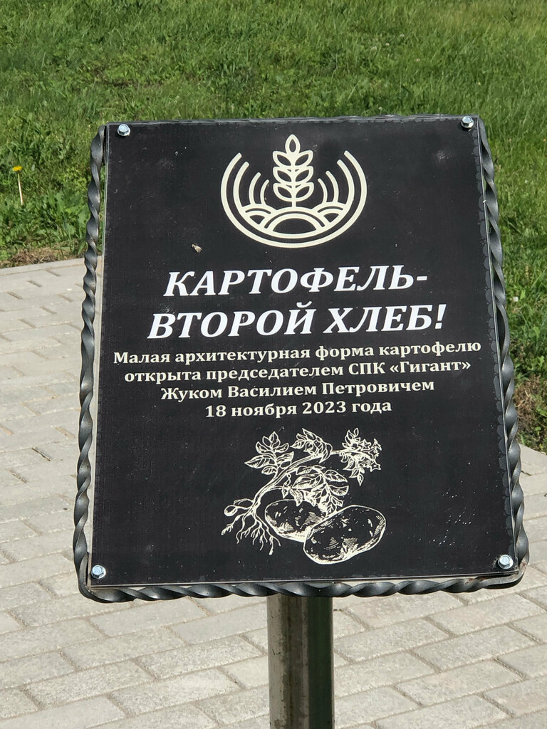 Park, sokak heykeli Памятник картошке, Mogiliovskaya oblastı, foto